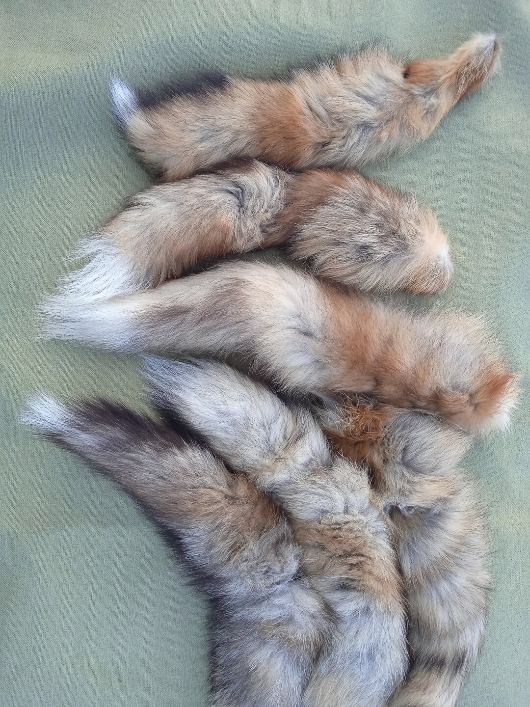 Red Fox Tails, Real Fox Tail, Fox Tail Keychain, Fur Tail Fur for ...