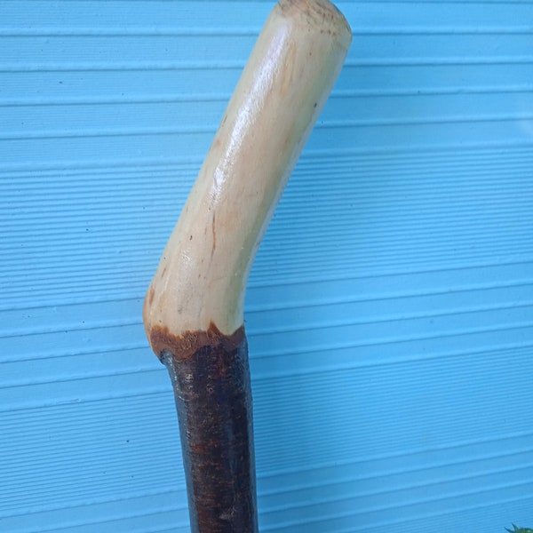 Ukrainian Walking Stick - Etsy