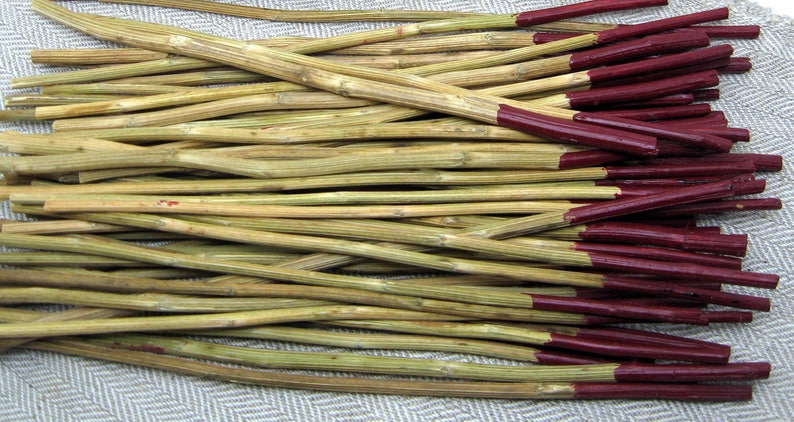Dried Yarrow Stalks Stems Sticks Achillee Divination I Ching 8 Inches ...