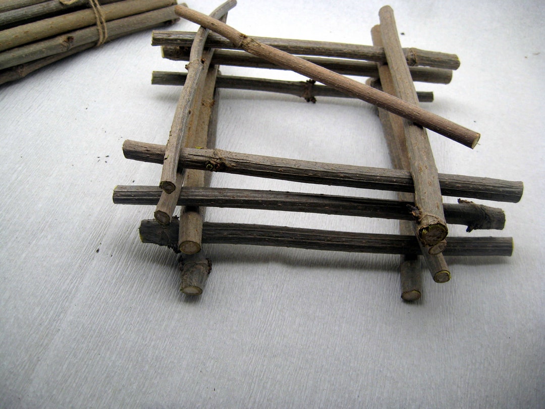 Elder Wand,dried Elder Branch,elder Twig,branch Black Elder,wood Decor ...