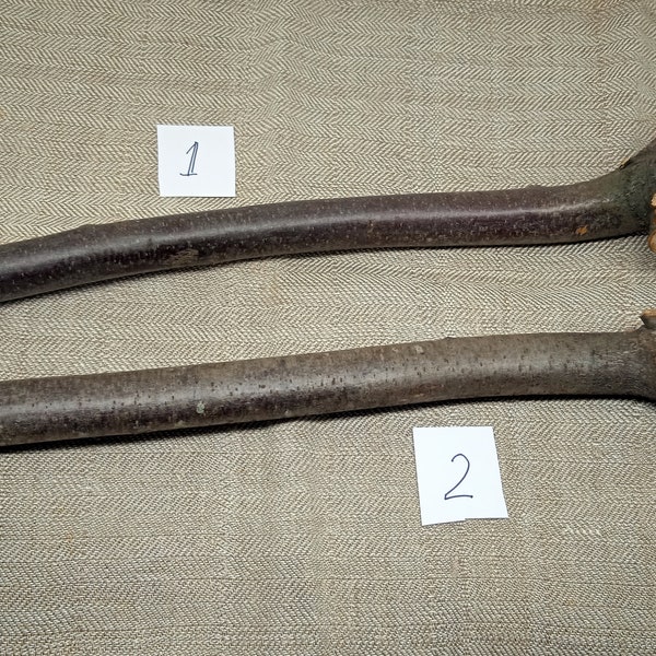 Irish Blackthorn Walking Stick - Etsy