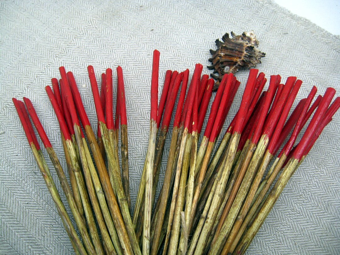 Dried Yarrow Stalks Stems Sticks Achillee Divination I Ching 10 Inches ...