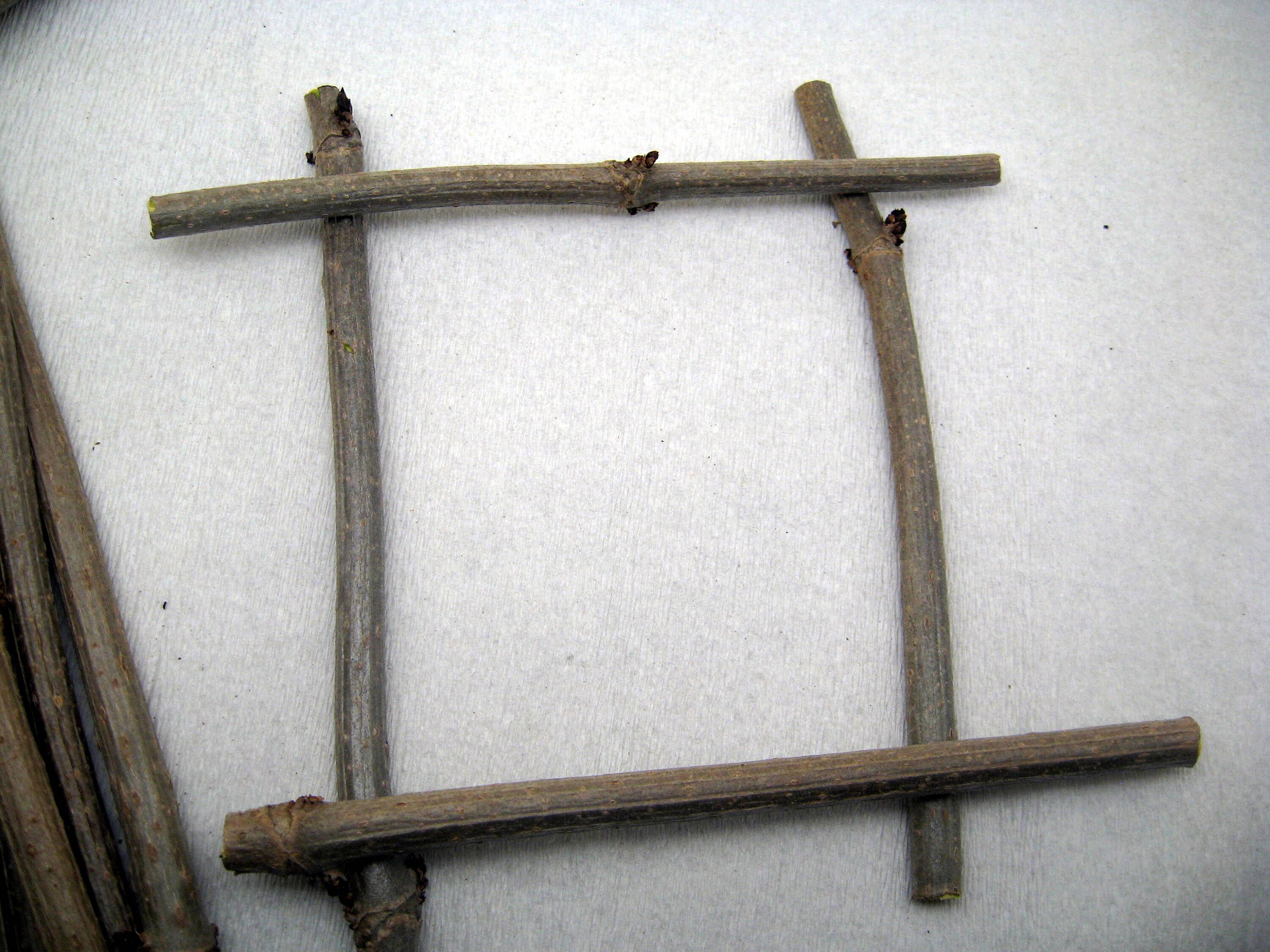 Elder Wanddried Elder Branchelder Twigbranch Black - Etsy