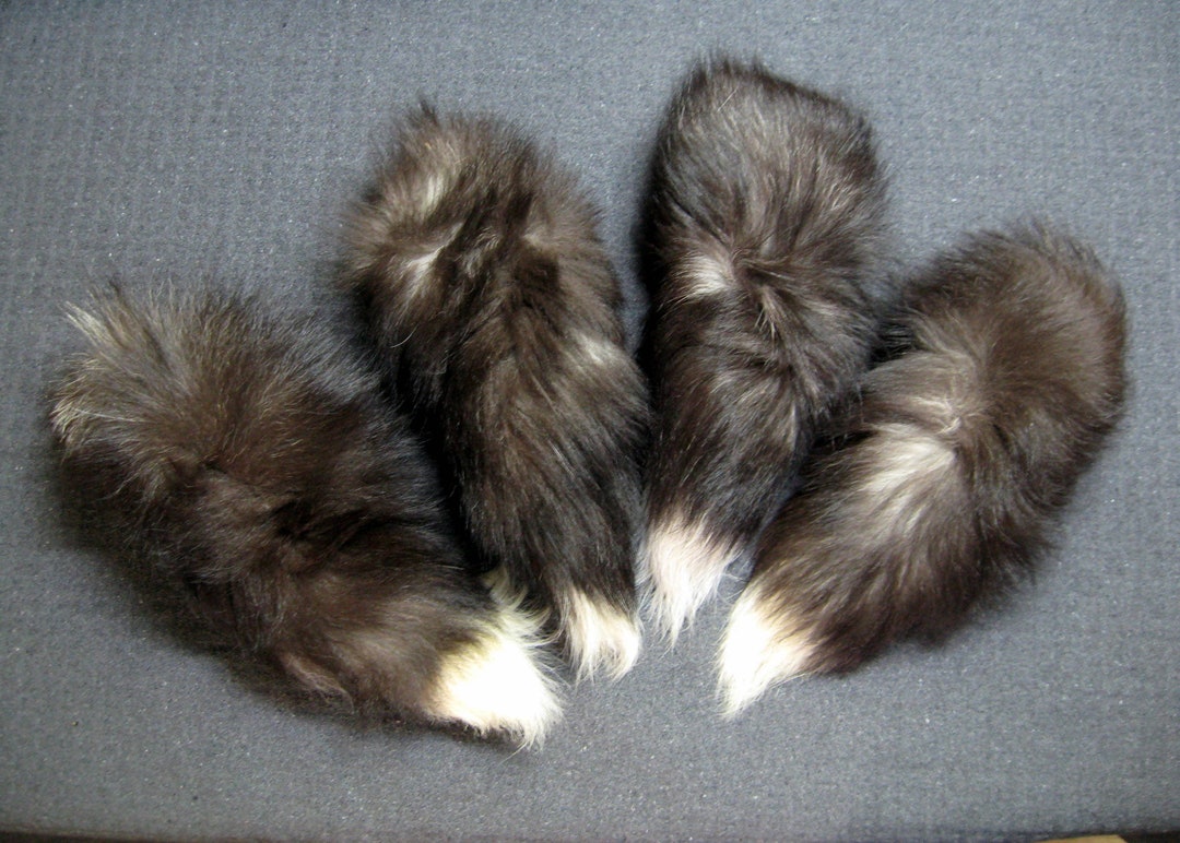 Fox Tails, Genuine Fox Fur Tails Natural Fur Tail - Etsy