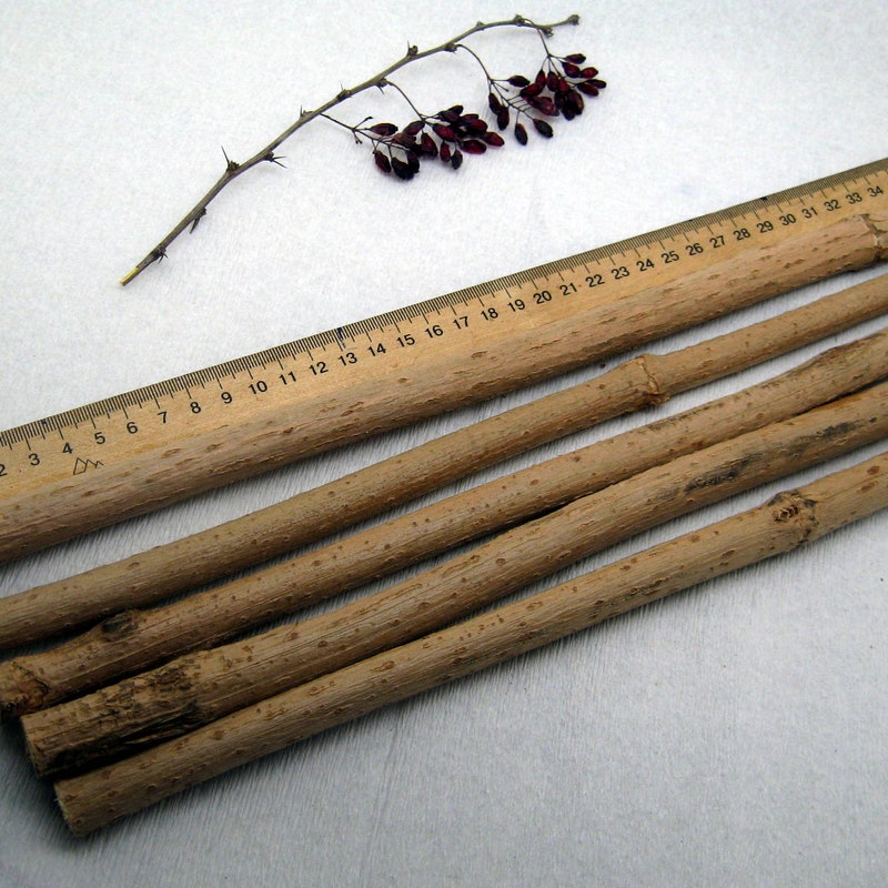 Natural Wood Craft Stick - Etsy