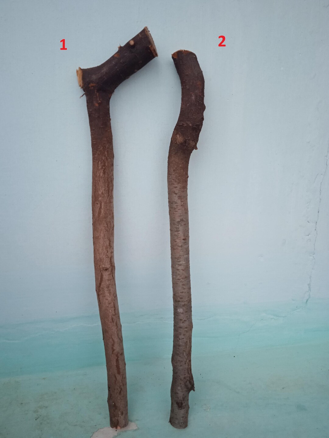 21" 1/3 Unfinished Blackthorn, Walking Stick, Branch of Thorns, Branch ...