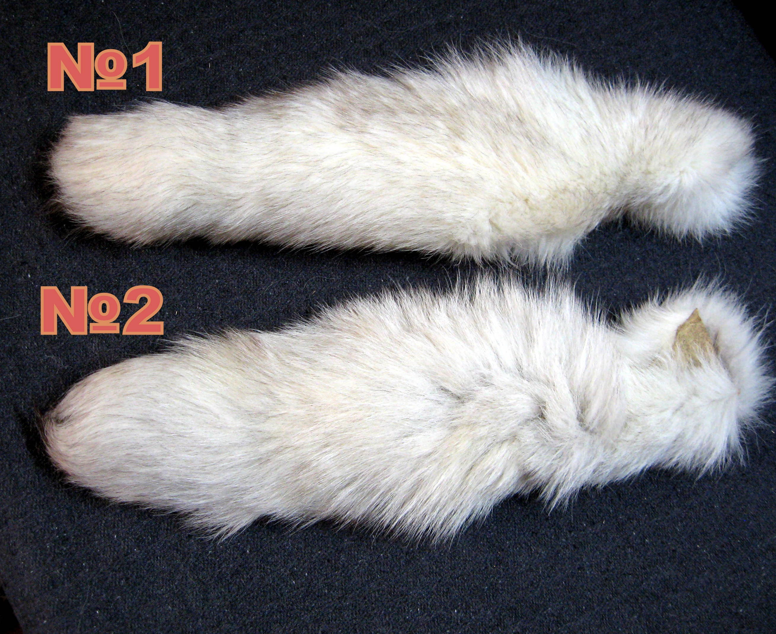 Real Large Arctic Fox Tails Genuine Fox Fur tails natural Fur | Etsy