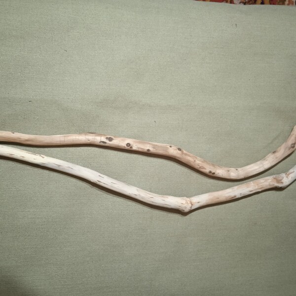 Natural Branch - Etsy