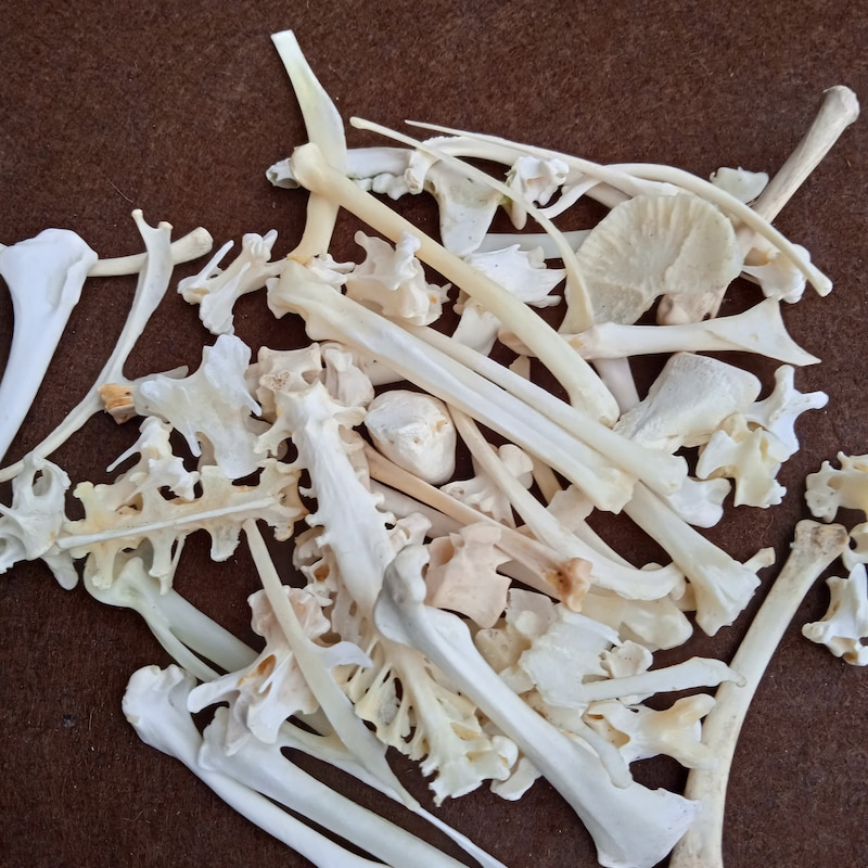 De Bone Cornish Hens - Etsy Canada