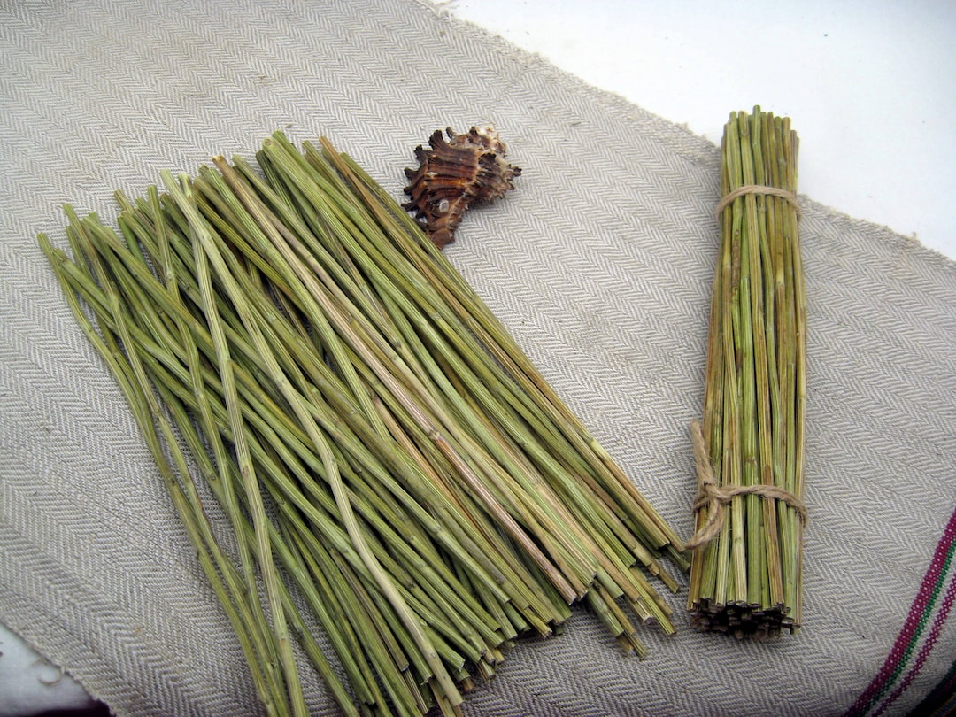 Set of Dried Yarrow Stems, Achillea Stick Stems, Divination and Iching ...