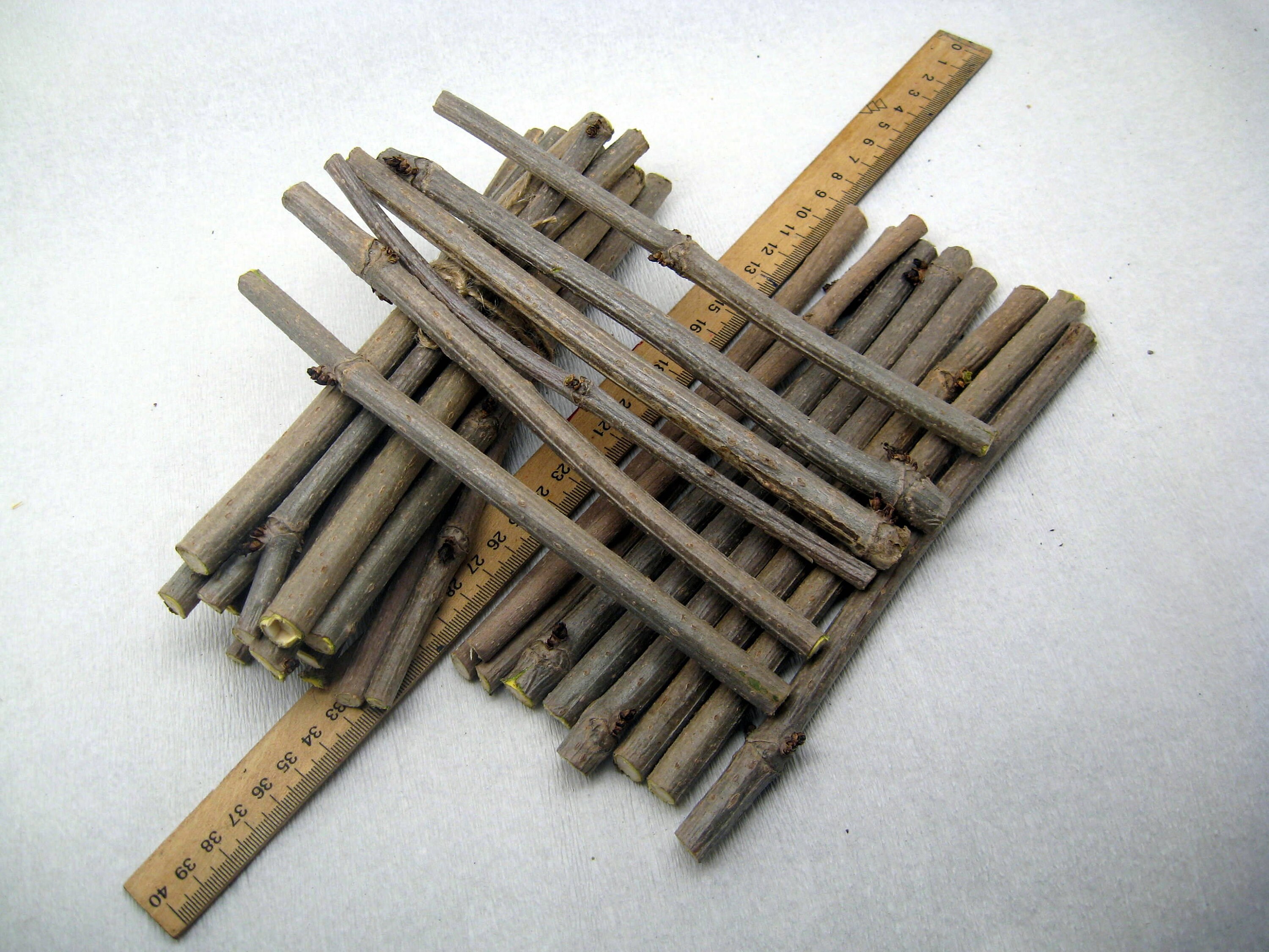 Elder Wanddried Elder Branchelder Twigbranch Black - Etsy