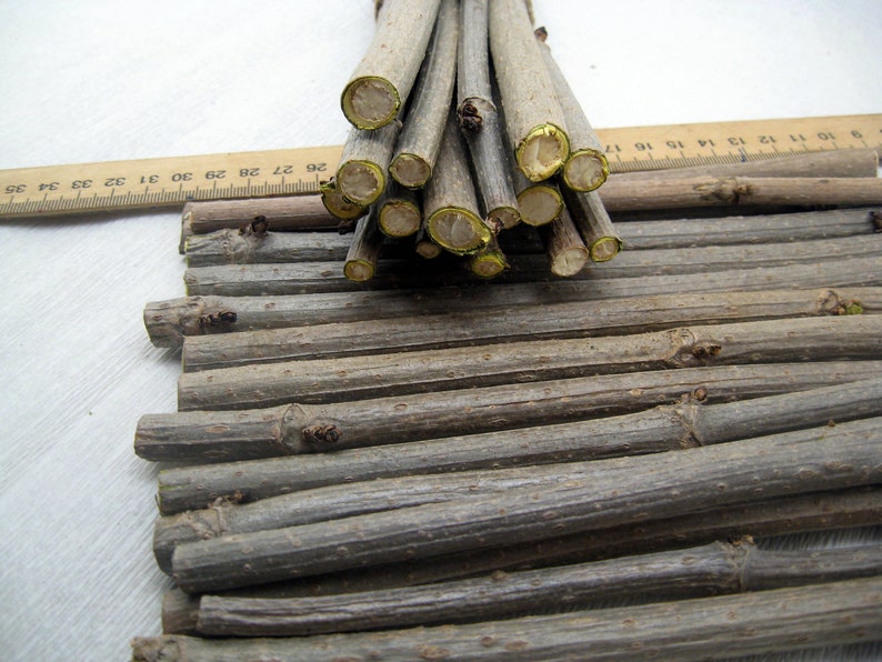 Elder Wanddried Elder Branchelder Twigbranch Black - Etsy