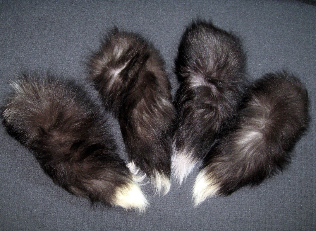 Fox Tails, Genuine Fox Fur Tails Natural Fur Tail - Etsy
