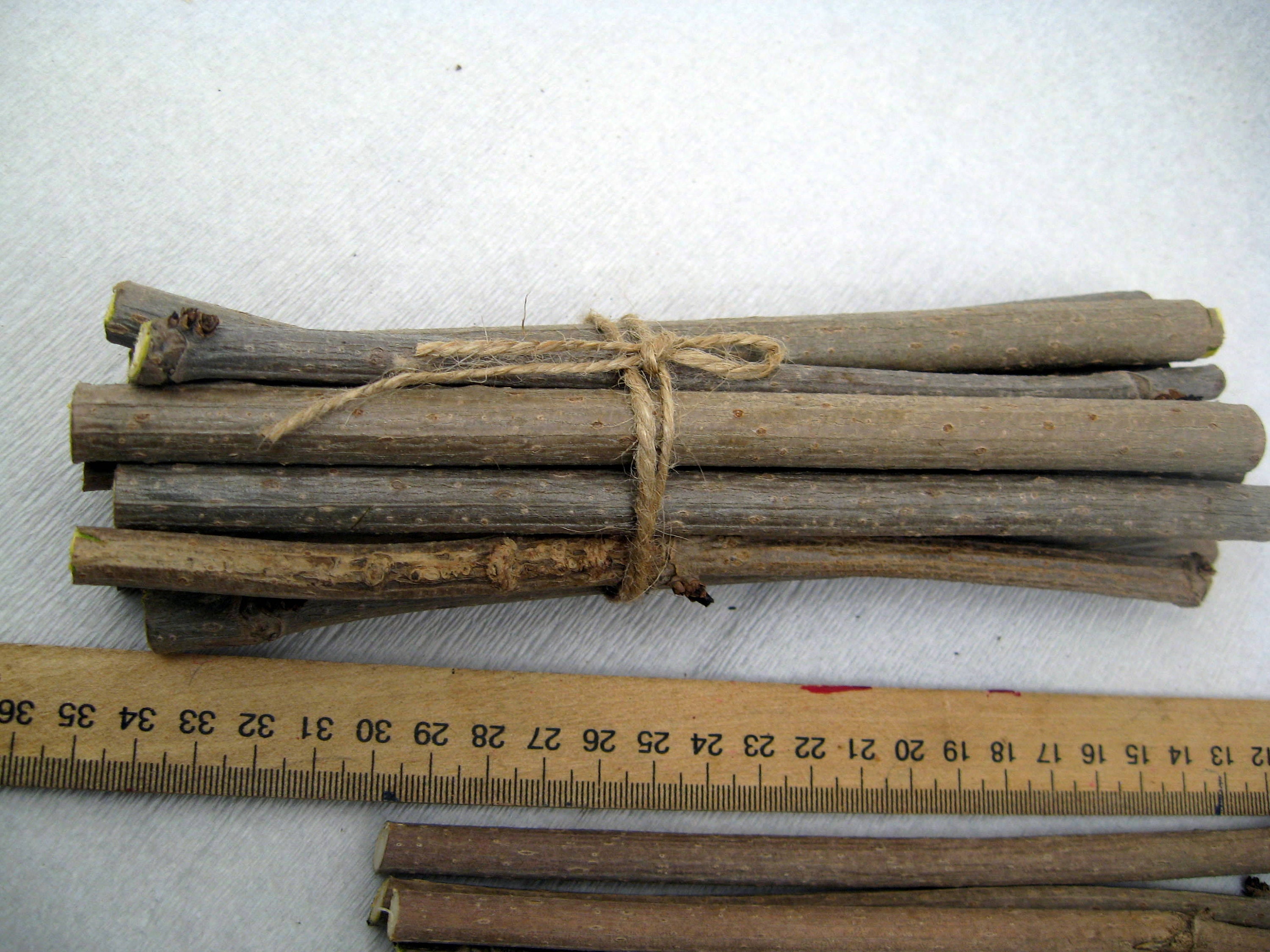 Elder Wanddried Elder Branchelder Twigbranch Black - Etsy