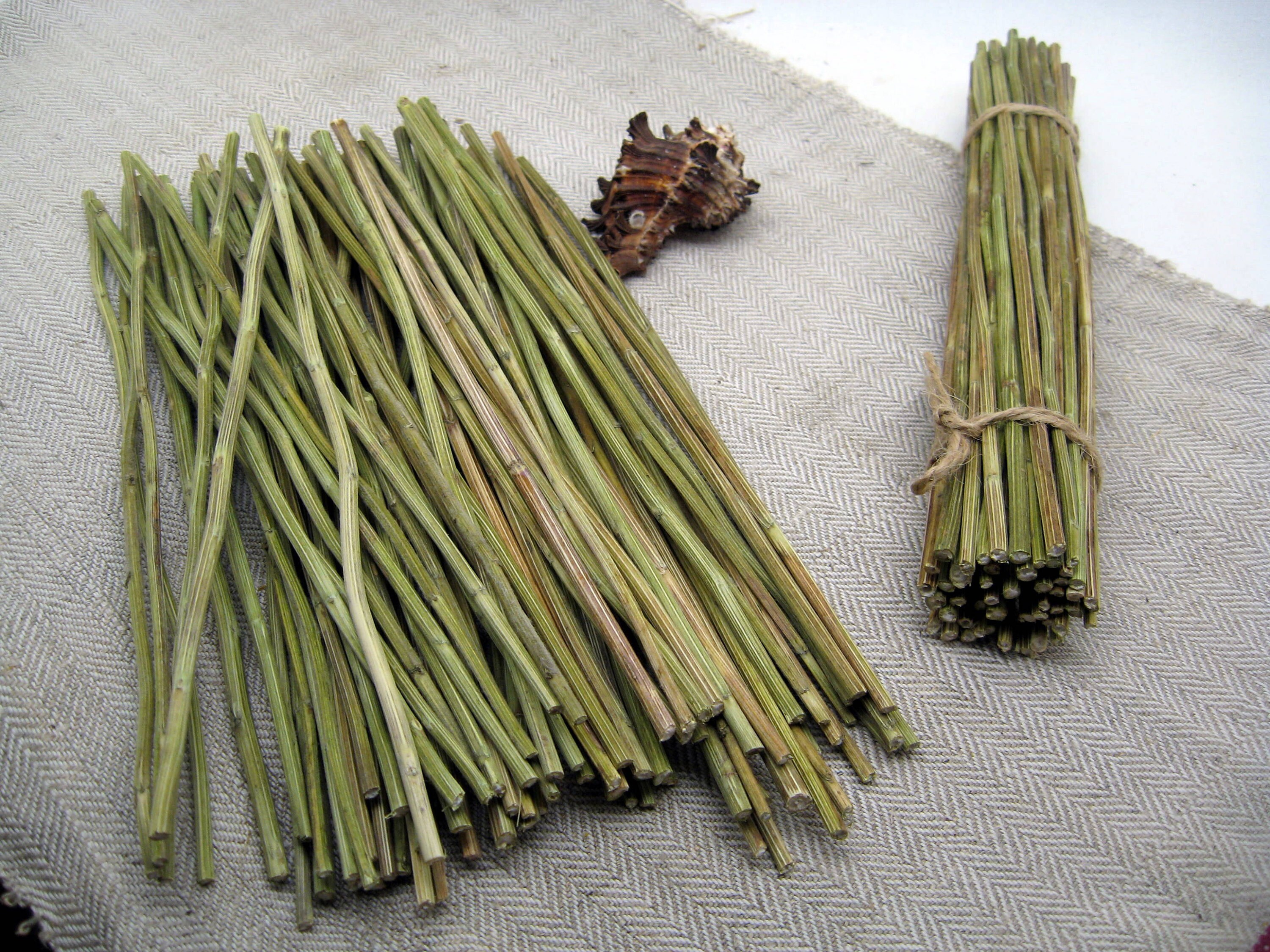 Dried Yarrow Stalks Stems Sticks Achillee Divination I Ching 8 - Etsy ...