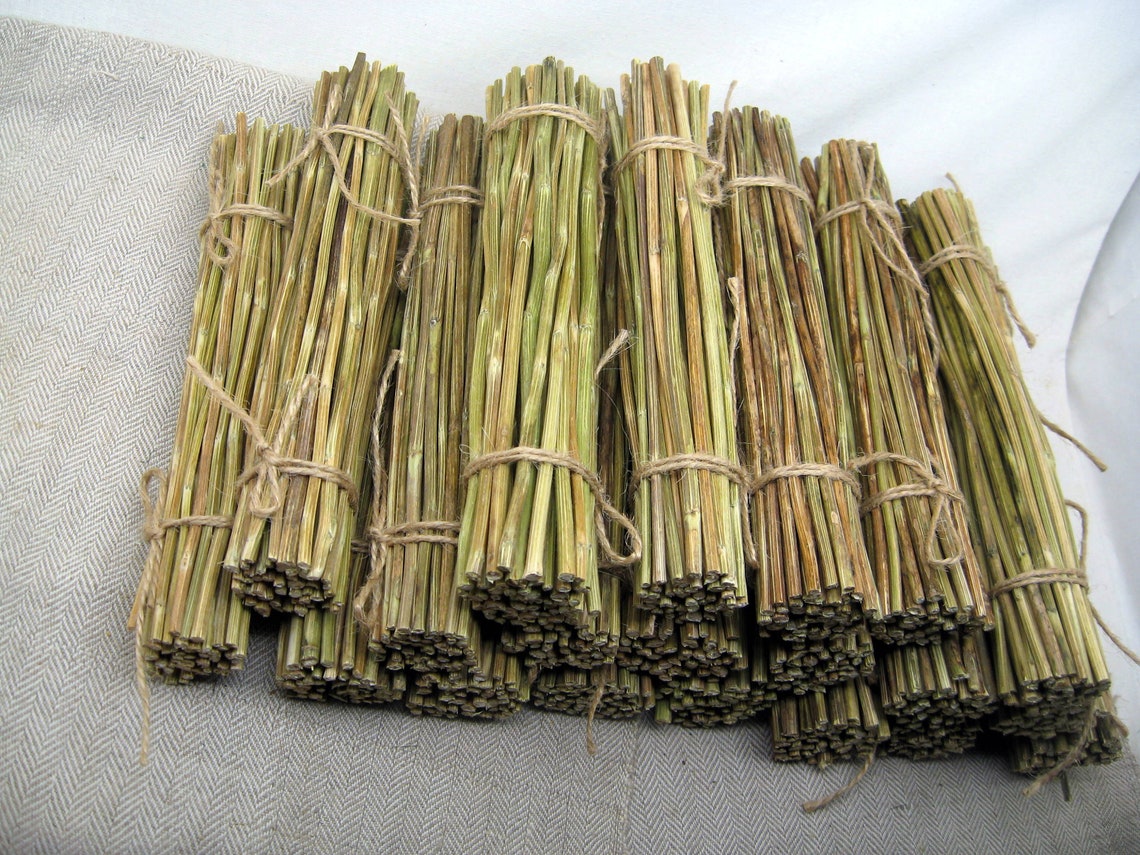 Dried Yarrow Stalks Stems Sticks Achillee Divination I Ching 10 Inches ...