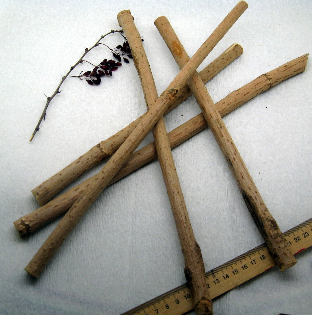 Dried Black Elder Branch Set: 16" Macrame Sticks, Sambucus Nigra - Etsy