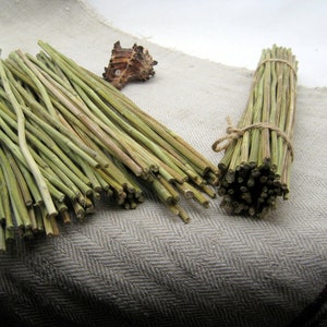 Dried Yarrow Stalks Stems Sticks Achillee Divination I Ching 10 Inches ...
