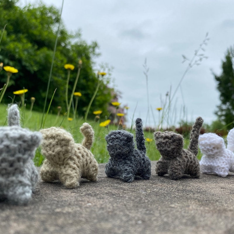 Knitted Cat - Etsy