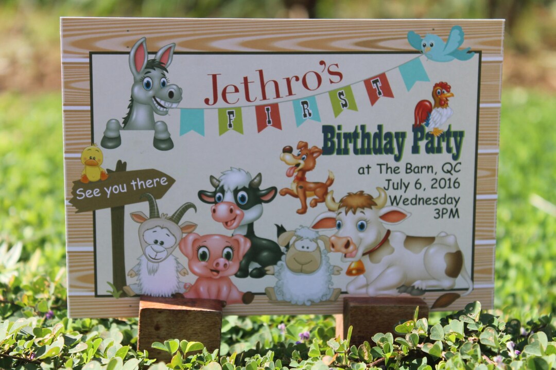 DIY Birthday Party Invitation Printable - Etsy