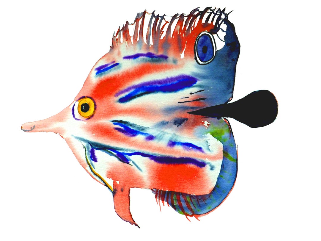 Angel Fish Watercolor Greeting Card, Animal Lover Gift - Etsy