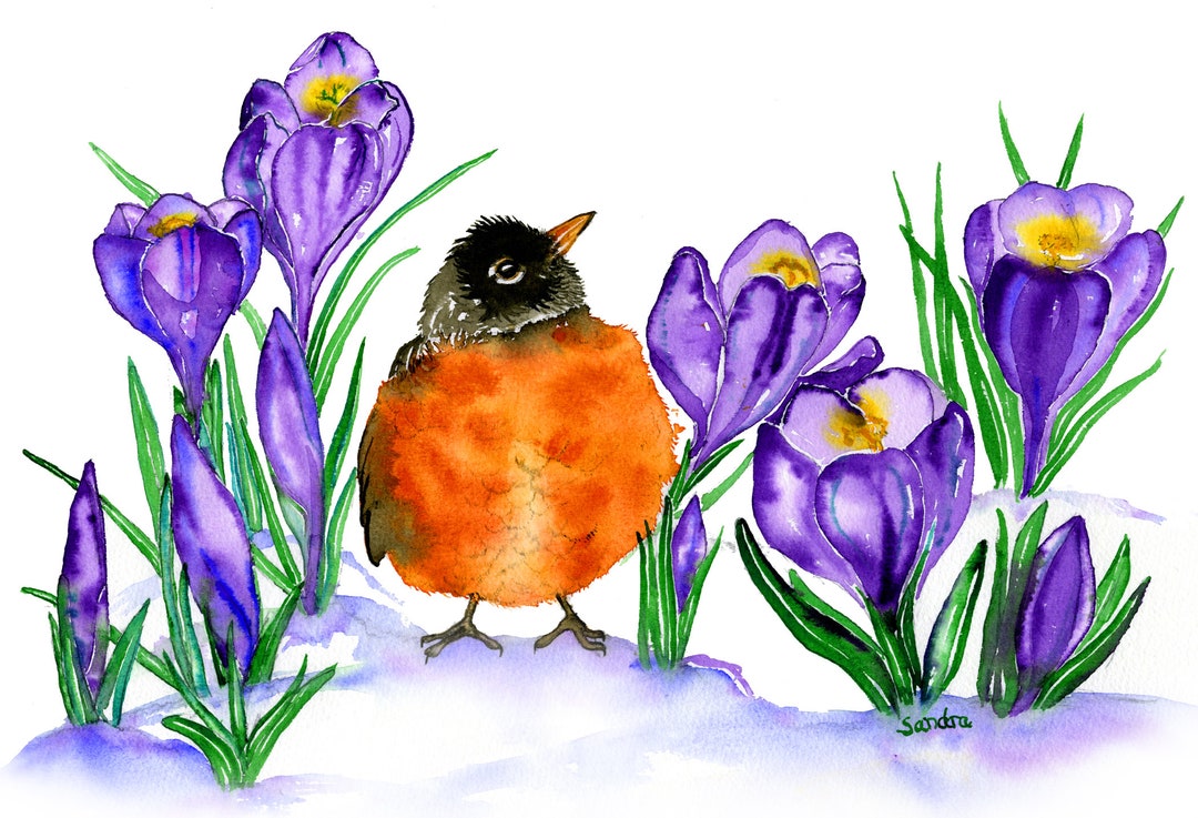 First Robin of Spring - Etsy