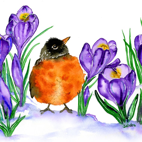 Robin Watercolor - Etsy