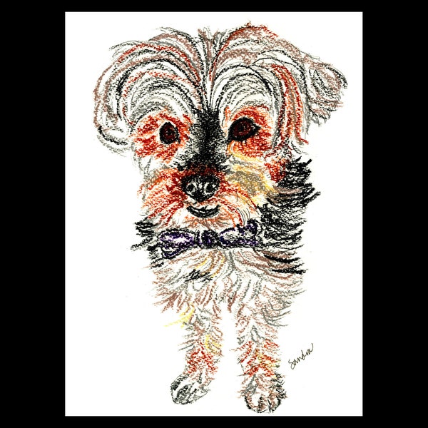 Yorkie Poo Svg - Etsy