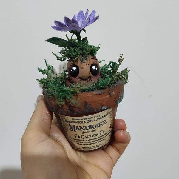 Mandrake Doll - Etsy