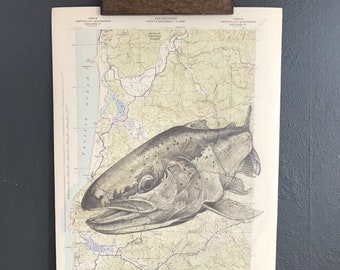 Steelhead art | Etsy