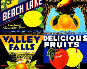 400 Can & CRATE LABELS digital vintage images fruit crates | Etsy