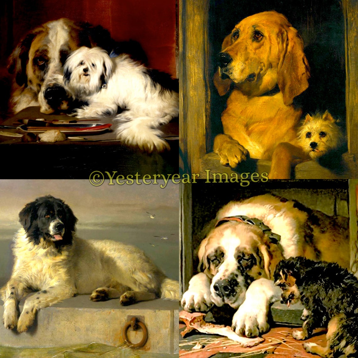 DOG PORTRAITS by Edwin Landseer 1802-1873 Printable | Etsy