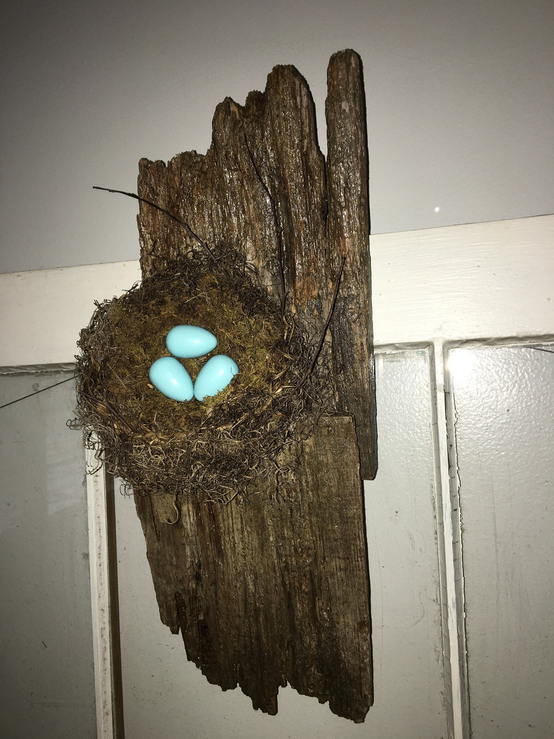 Bird nest blue eggs on barn wood pecky cypress wall decor | Etsy