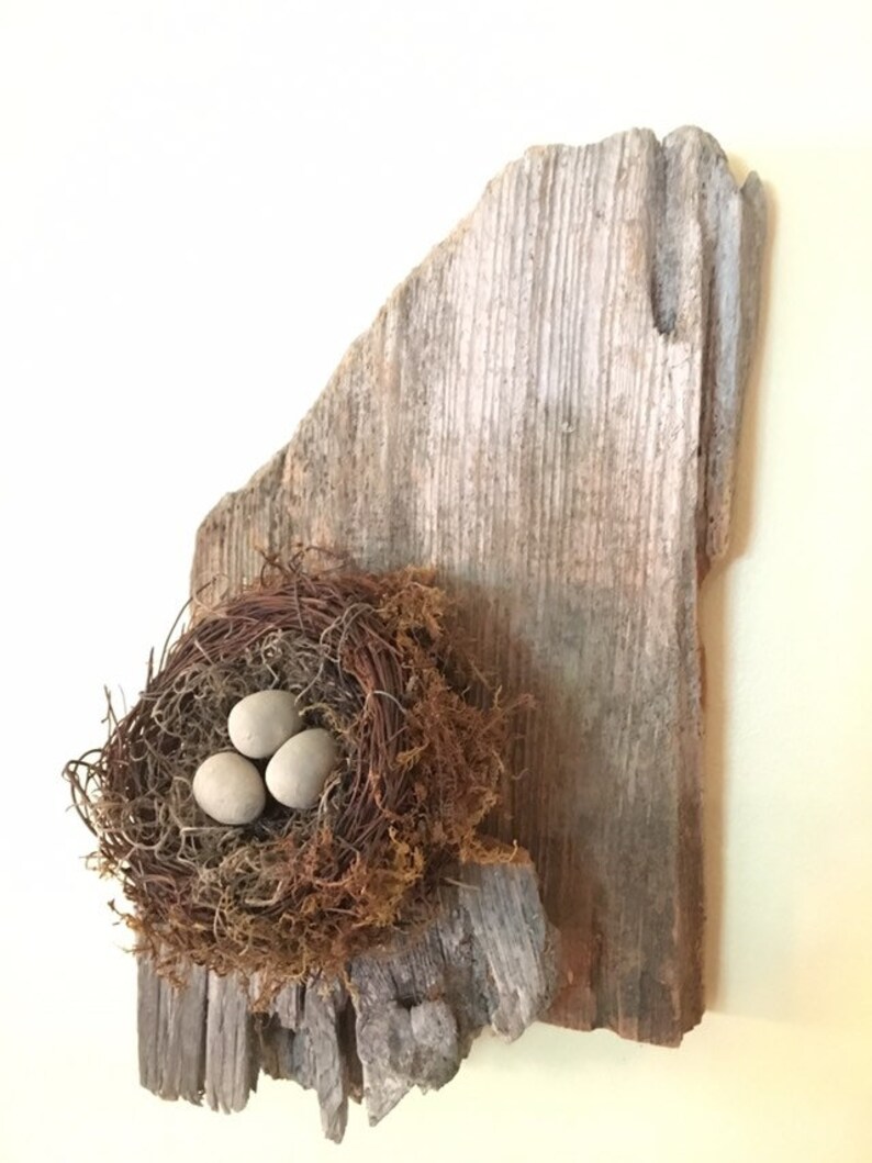 Bird Nest Eggs on Barn Wood Pecky Cypress Wall Decor Hanging Rustic - Etsy