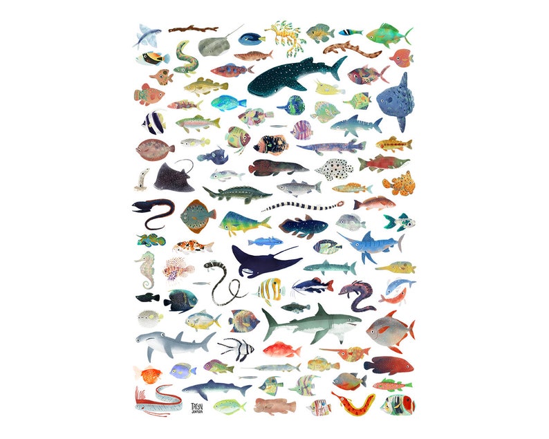 Wall Art Poster 100 Fish Illustration | Etsy