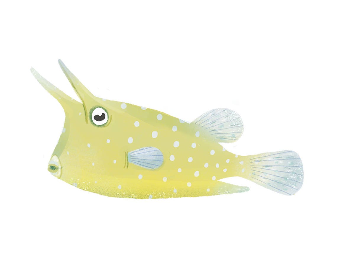 Art Print Illustration Yellow Longhorn Cowfish - Etsy