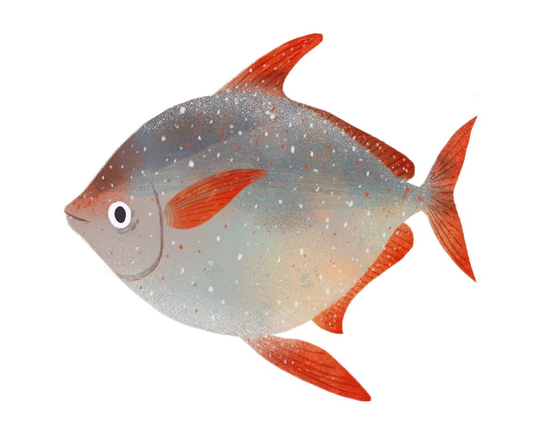 Impression d'art Illustration Opah Ocean Moonfish - Etsy France