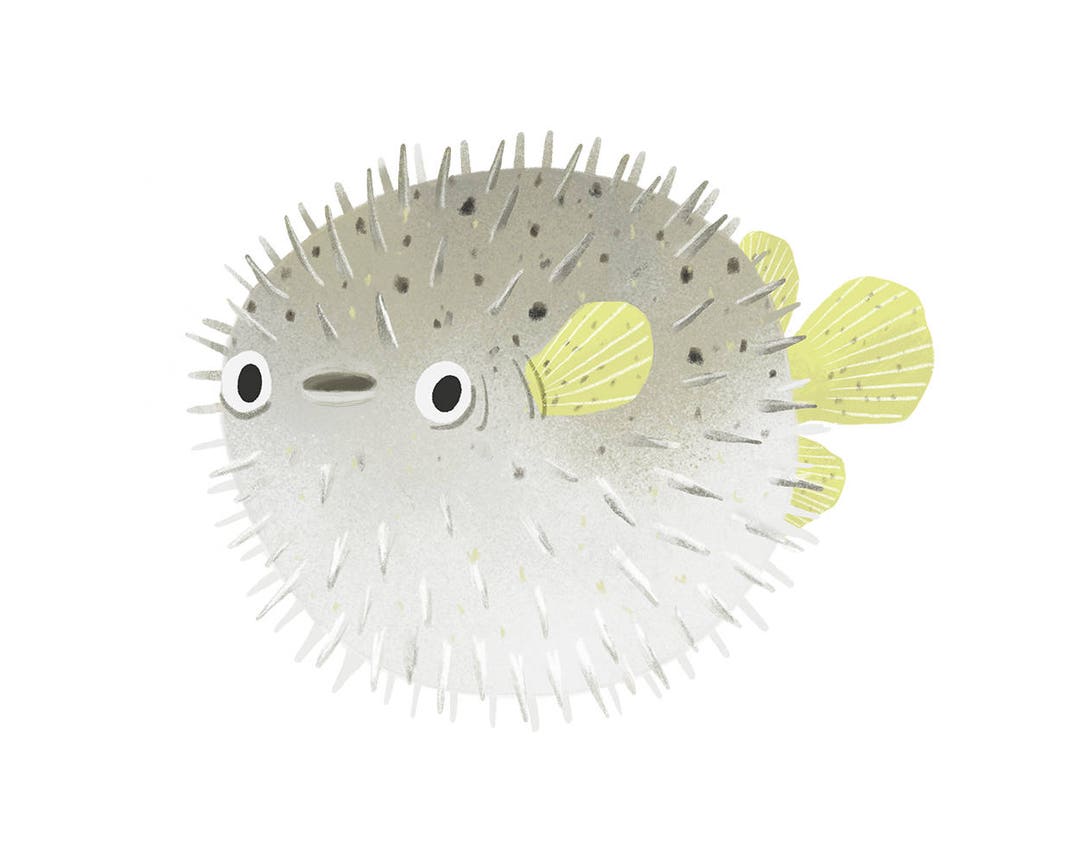 Art Print Illustration - Pufferfish Inflated - Etsy