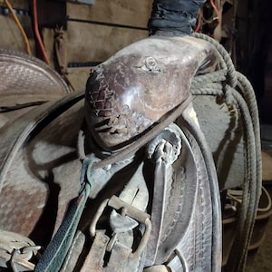 Bungee Rope Keepers for Saddle - Etsy