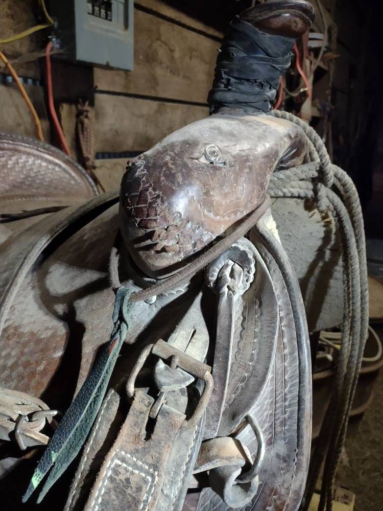 Bungee Rope Keepers for Saddle - Etsy