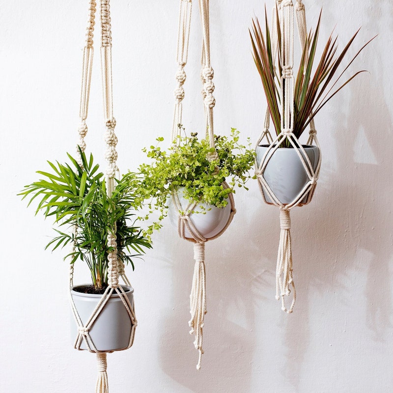 Macrame Plant Hanger Set - Etsy