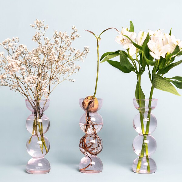 Propagation Vase - Etsy