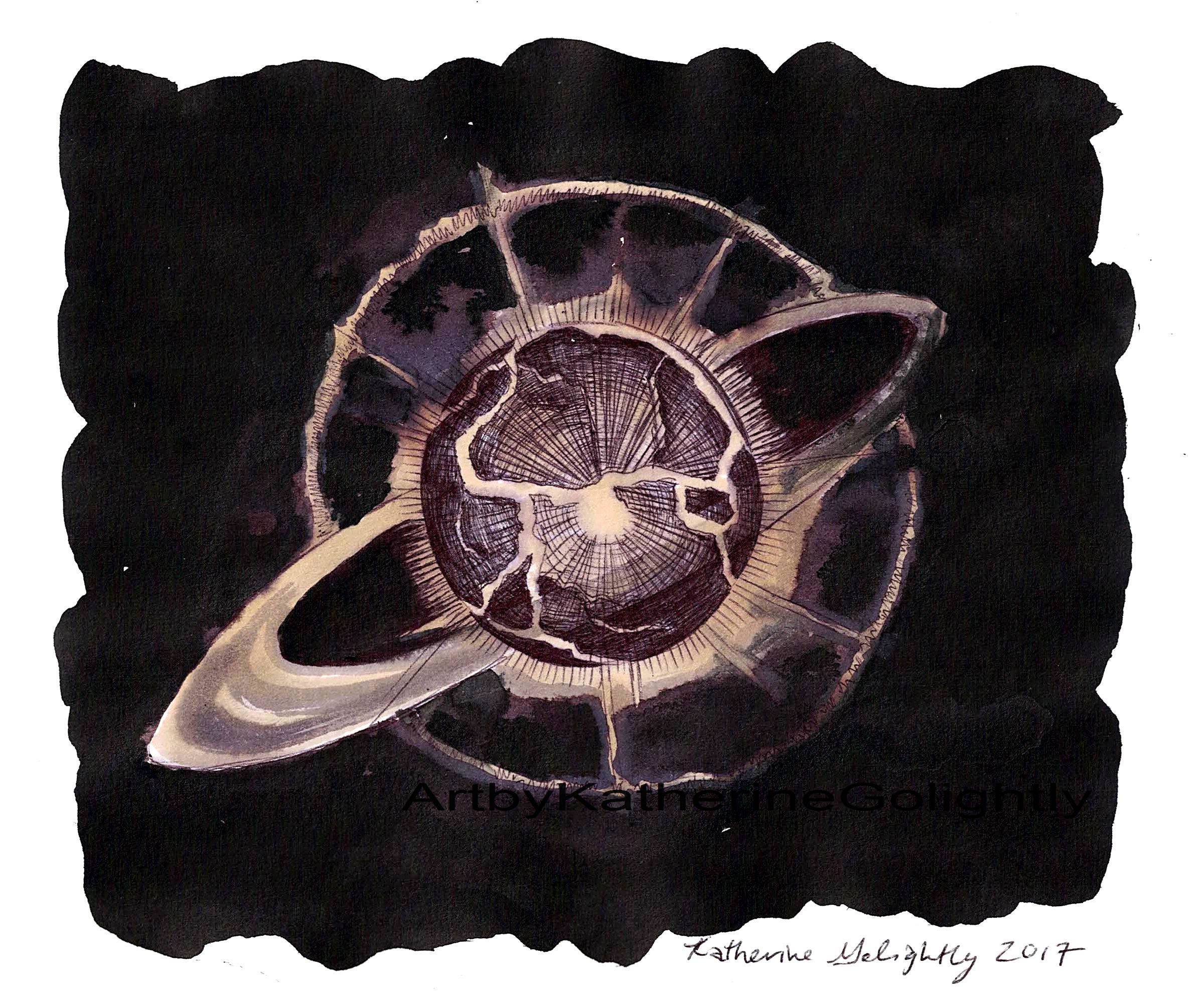 Supernova Star Drawing