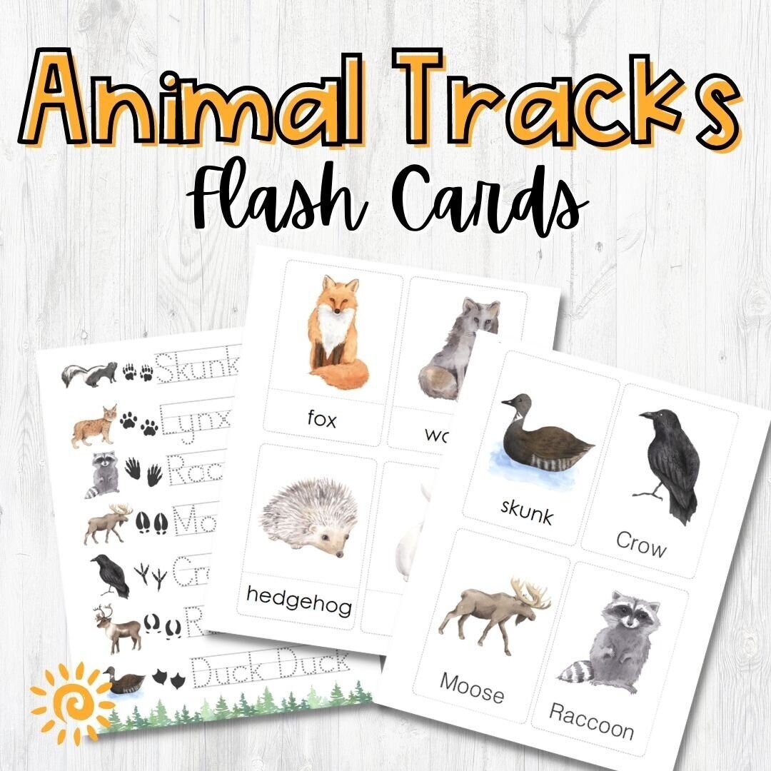 Animal Track Flashcards at Norman Nelson blog