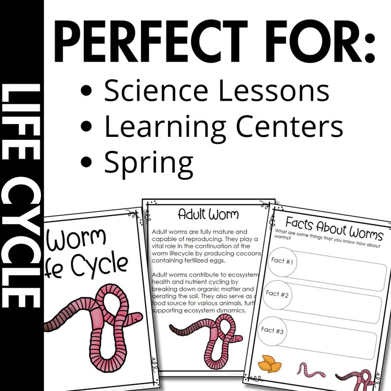 Worm Life Cycle Worksheets – Printable Science Activities for Kids - Etsy