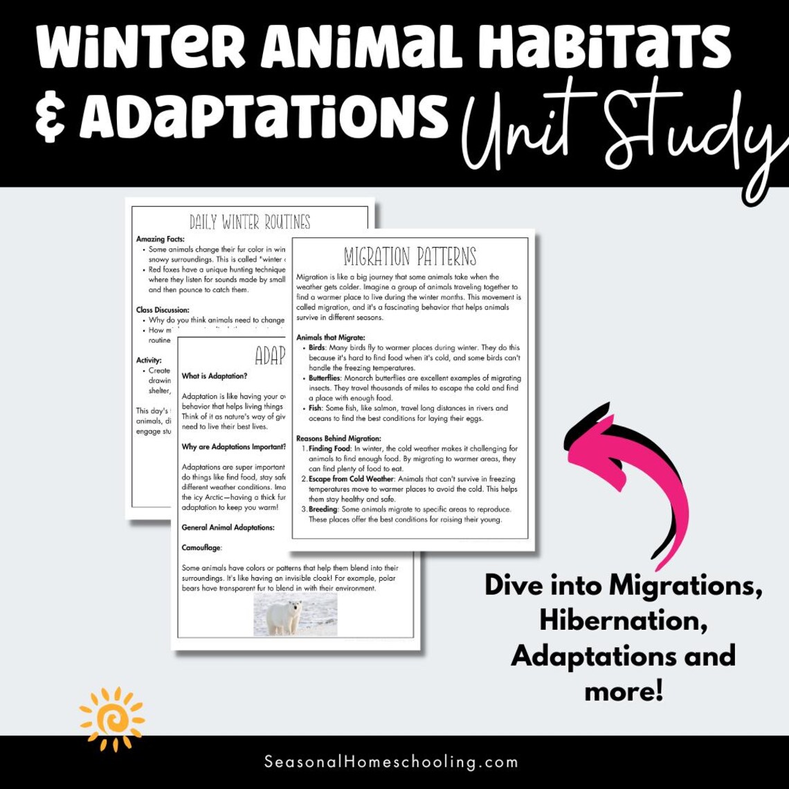 Winter Animal Habitats and Adaptations Unit Arctic, Taiga & Antarctic ...