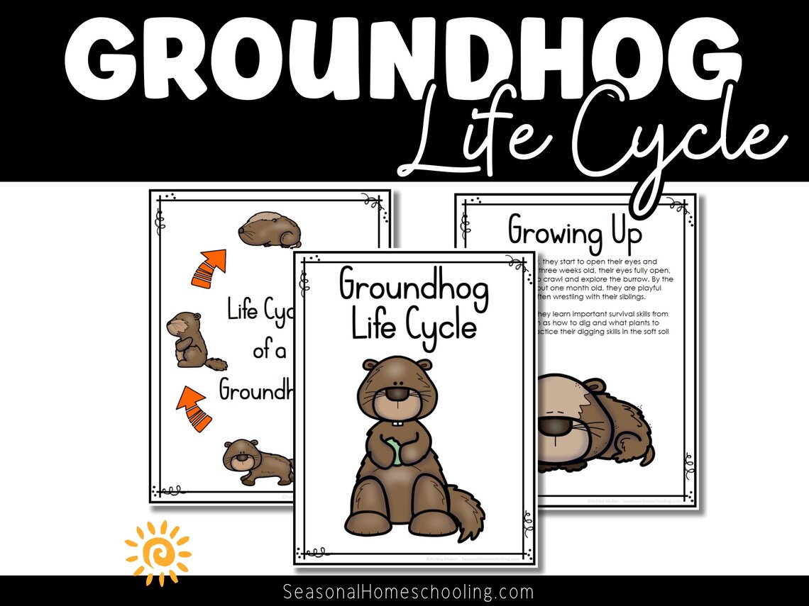 Groundhog Life Cycle Activity Pack – Fun and Educational Resource for ...
