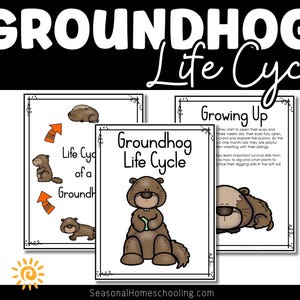 Groundhog Life Cycle Activity Pack – Fun and Educational Resource for ...