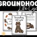Groundhog Life Cycle Activity Pack – Fun and Educational Resource for ...
