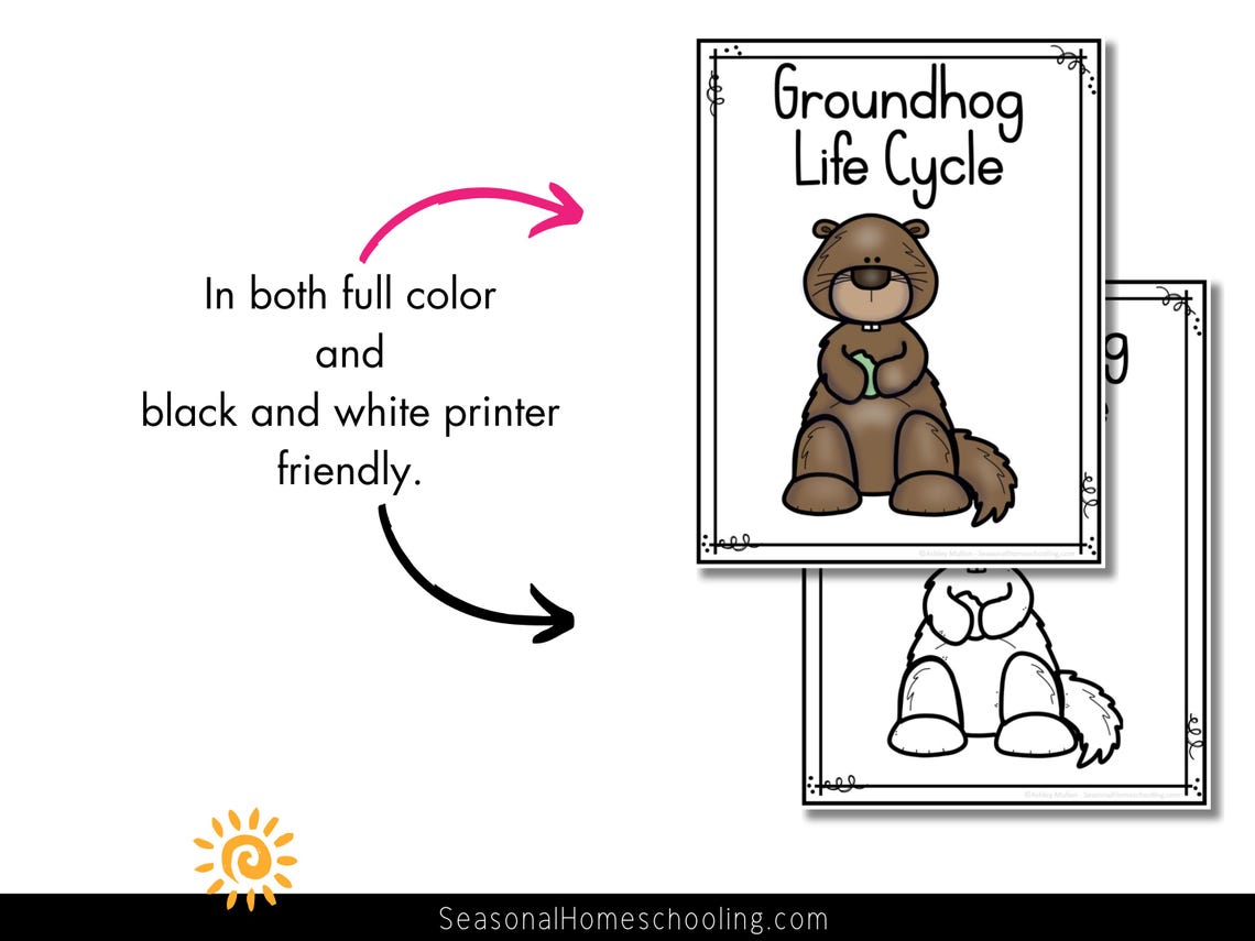 Groundhog Life Cycle Activity Pack – Fun and Educational Resource for ...